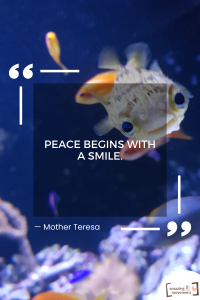 30 Inspiring Quotes About Peace For Your Reflection ⋆