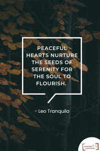 20 Serenity Quotes For Tranquil Hearts And Calm Love ⋆