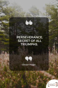 20 Quotes About Perseverance: Build Resilience And Strength ⋆