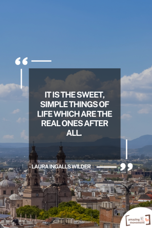 20 Quotes On Living A Simple Life: The Secret To Happiness ⋆
