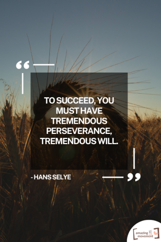 20 Quotes On Endurance To Keep You On The Right Track ⋆