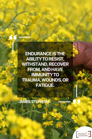 20 Quotes On Endurance To Keep You On The Right Track ⋆