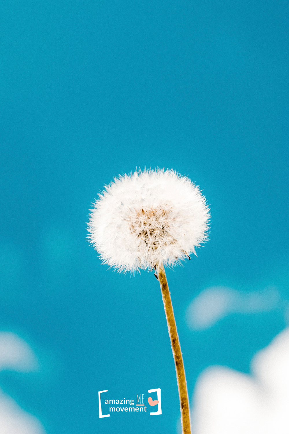 Singles Day Revolution: Self-Love Takes Center Stage ⋆